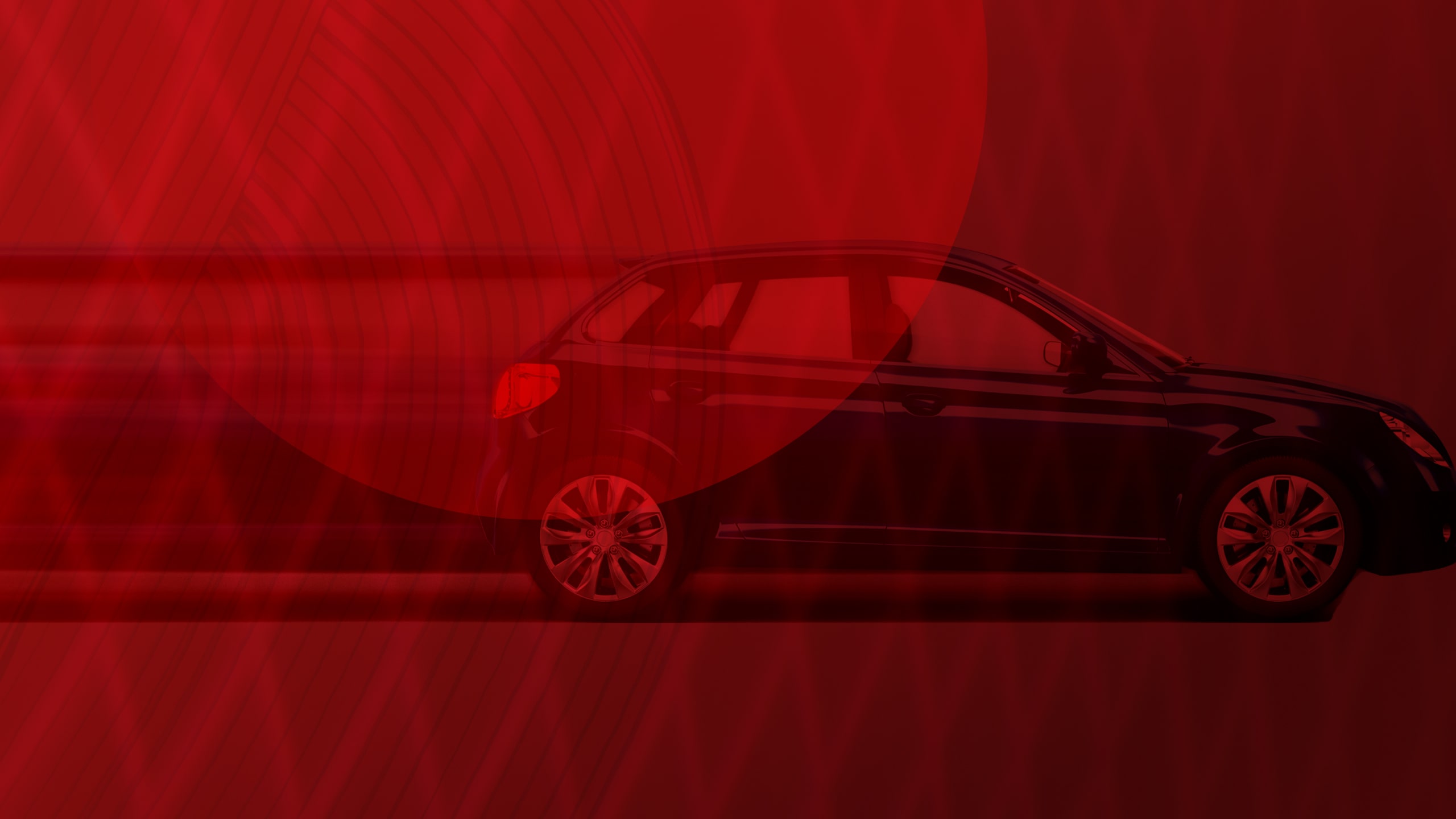 Home | Weelz Car Rental